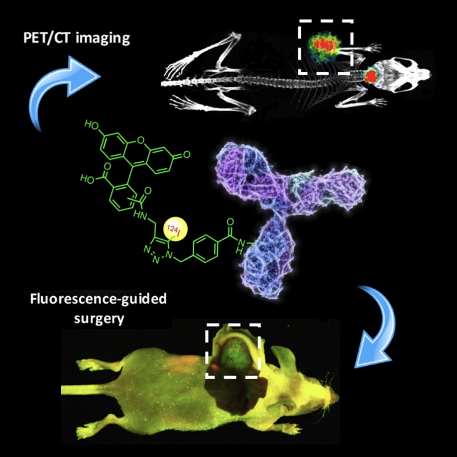 Overview - Centre For Medical Engineering