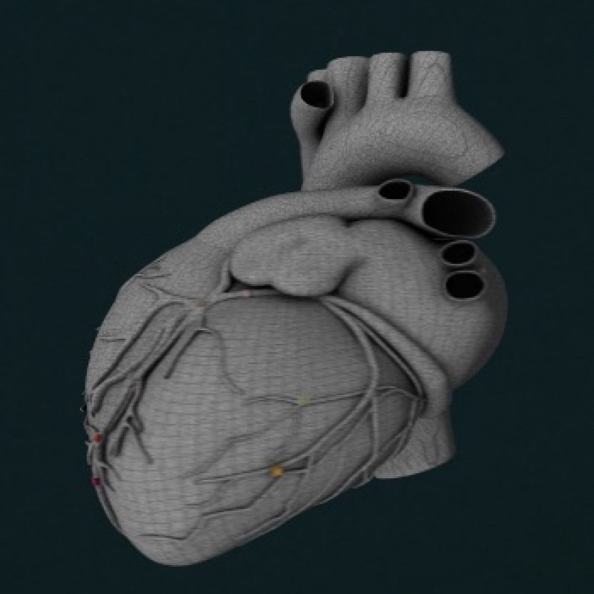 Overview - Centre For Medical Engineering
